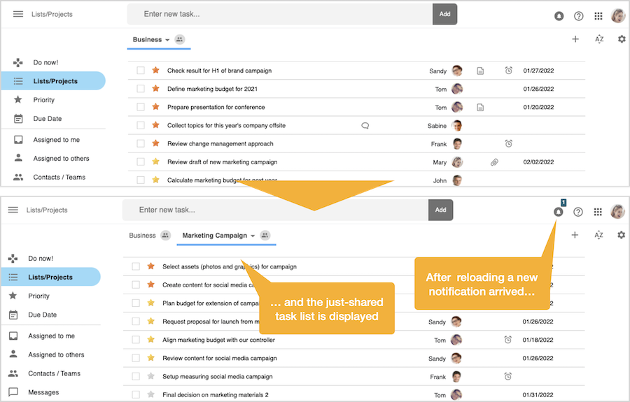 Organiseme Support Overview